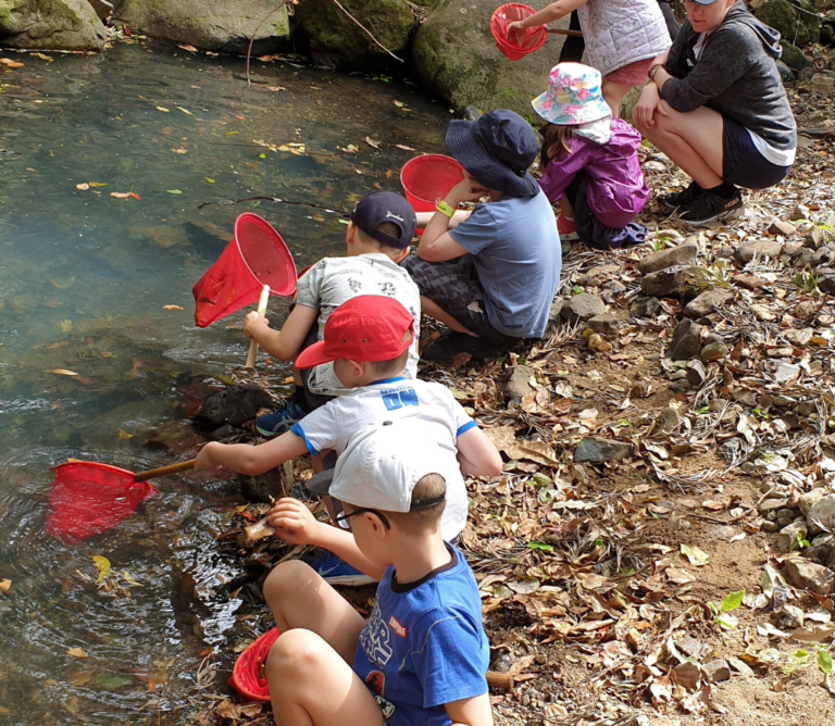 Camp Jimbelung day camp (QLD) - Early Start Australia